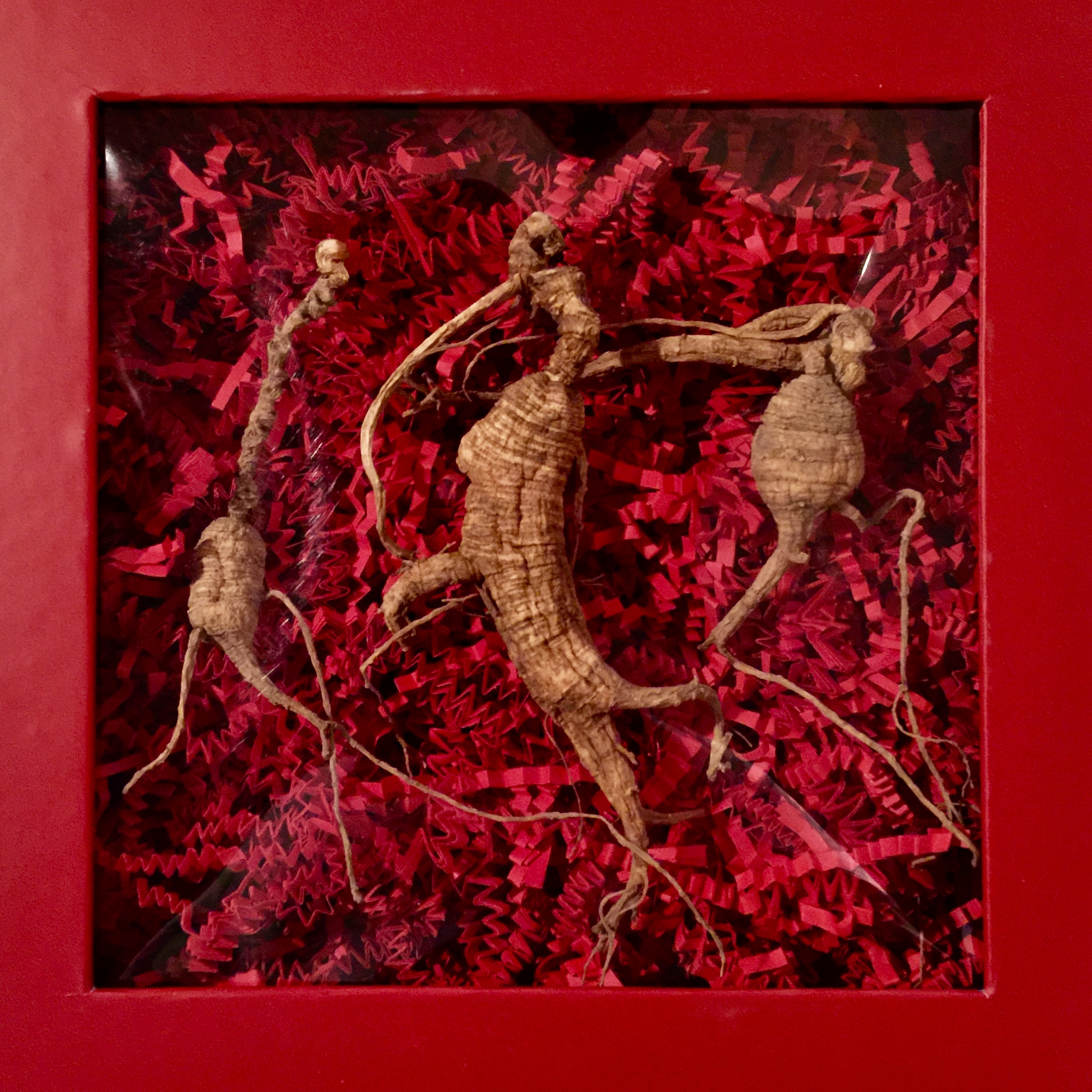 Dry Signature Series Gift Box - American Ginseng