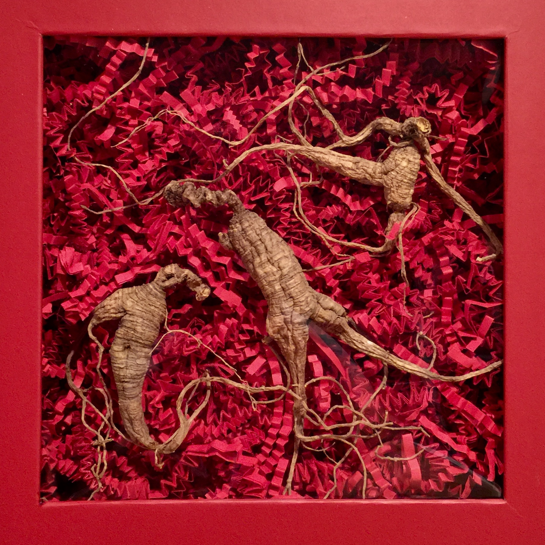 Dry Signature Series Gift Box - American Ginseng