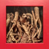 Wild American Ginseng - Highest Quality & Best Prices
